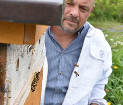 "Bee"lieve in the Newfoundland honey bees - The Newfoundland Quarterly