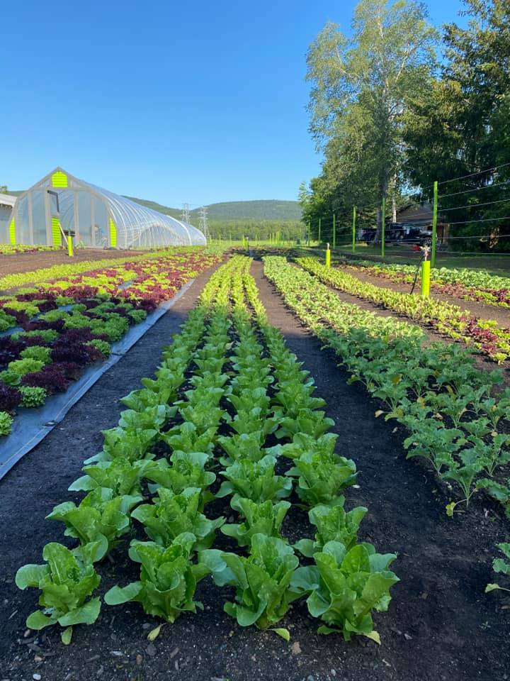 Fit to Eat: the NL Farm and Food Show Announces the Beginning of its ...