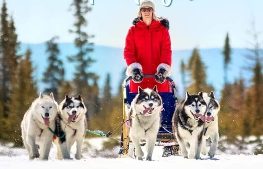 Scott Hudson: "Keeping dogs and continuing the dog sledding tradition ...