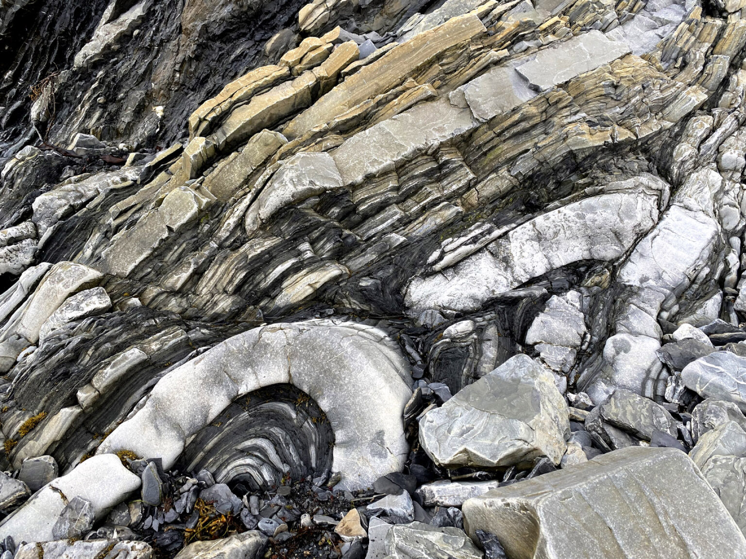 The Human Story Behind Cabox Geopark’s UNESCO Dream - The Newfoundland ...