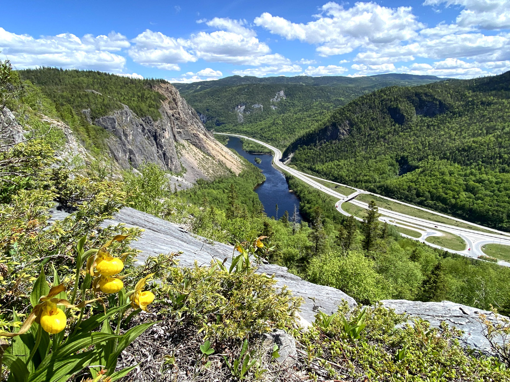 The Human Story Behind Cabox Geopark’s UNESCO Dream - The Newfoundland ...
